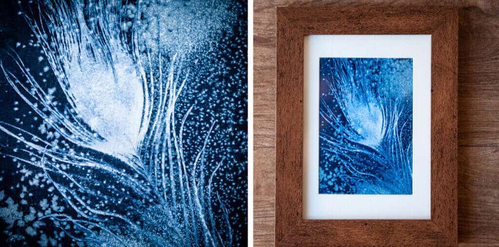 Creative Photography And The Cyanotype Process | Quiet Landscapes
