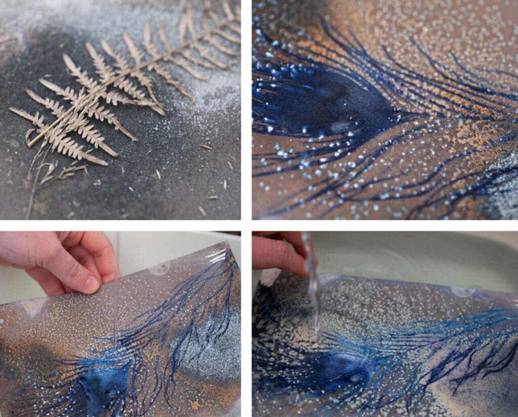 Creative Photography And The Cyanotype Process | Quiet Landscapes